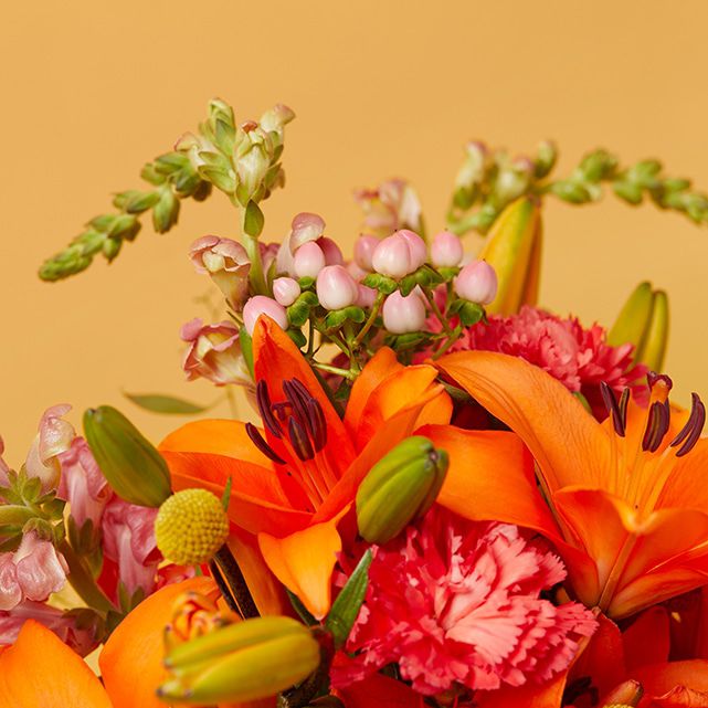 Orange Lilies + Orange-Peach Carnations & Pink Hypericum with Gold ...