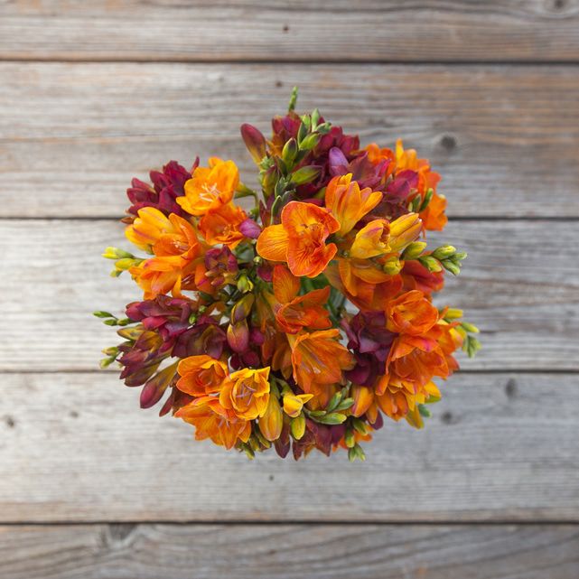 Red & Orange Freesia Bouquet - The Bouqs Co.