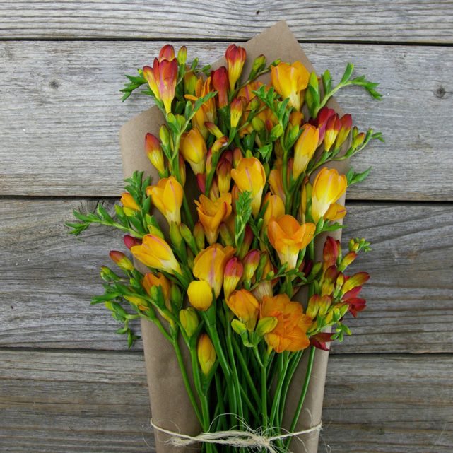 Red & Orange Freesia Bouquet - The Bouqs Co.