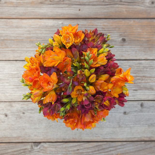 Red & Orange Freesia Bouquet - The Bouqs Co.