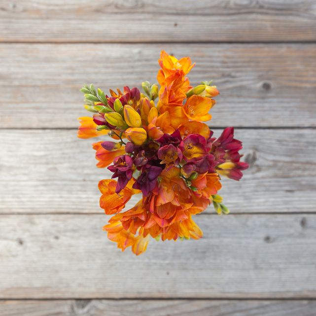 Red & Orange Freesia Bouquet - The Bouqs Co.