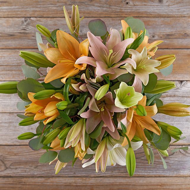 Flower Bouquet of Pink, White and Peach Lilies - The Bouqs Co.