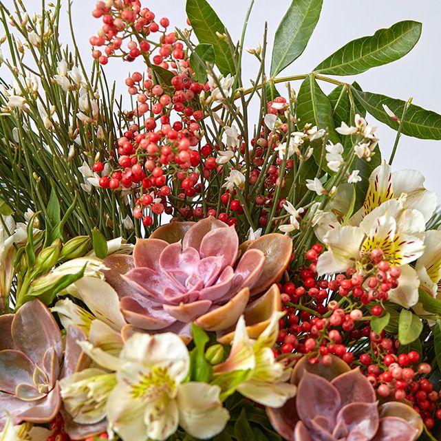 Red Berries and Succulents Floral Bouquet - The Bouqs Co.