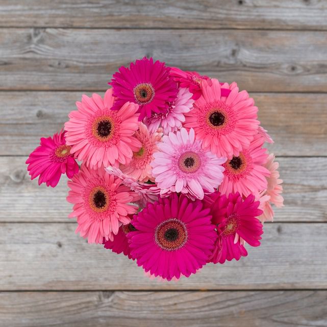 Hot Pink Gerbera Daisy Bouquet
