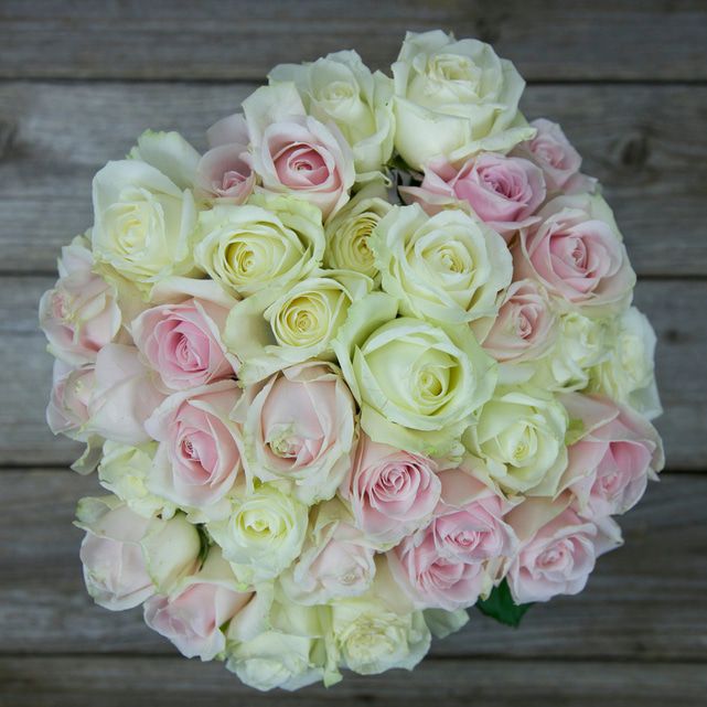 Light Pink & White Rose Floral Arrangement - The Bouqs Co.