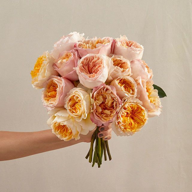 Garden Roses in shades of Yellow and Peach - The Bouqs Co.