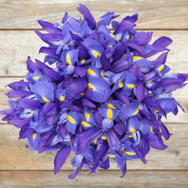 Purple Iris Floral Arrangement - The Bouqs Co.