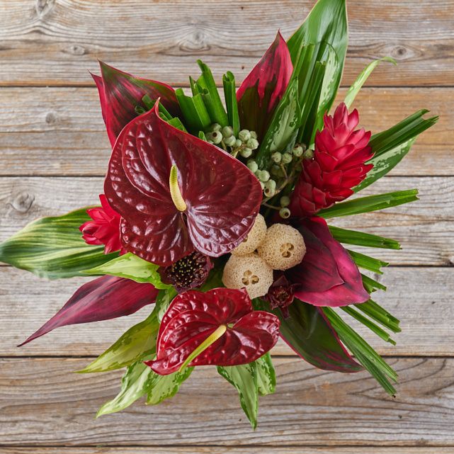 Red Anthurium, Loofah and Ginger Bouquet - The Bouqs Co.