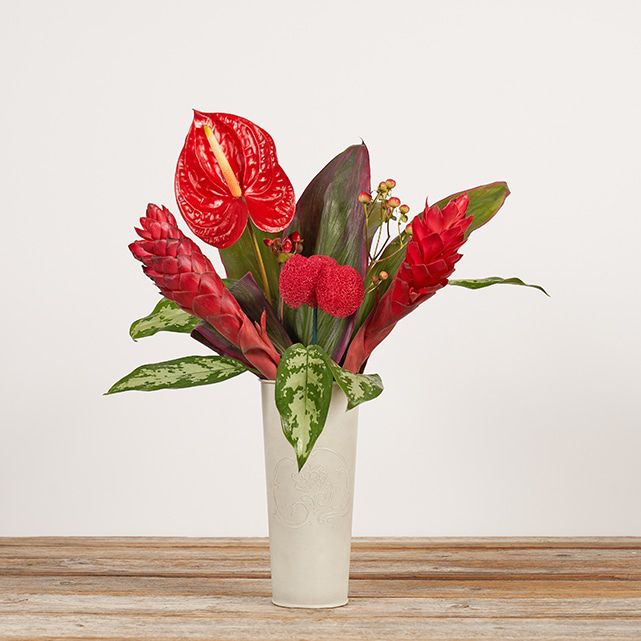 Red Ginger, loofah, aglaonema, Hypericum - The Bouqs Co.