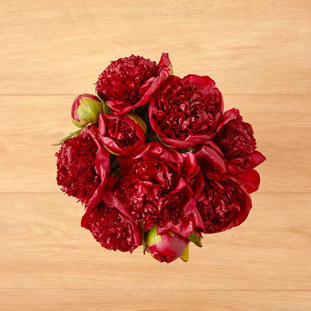 Red Peony Bouquet - The Bouqs Co.