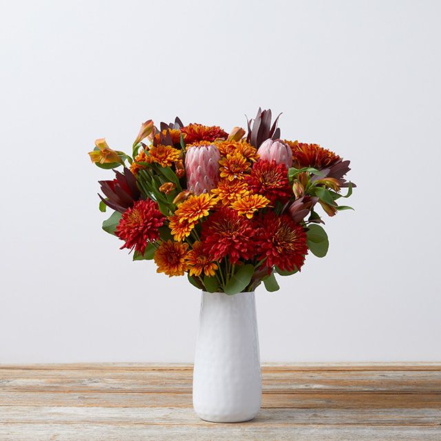 Red Protea + Bronze Mums & Pompons - The Bouqs Co.