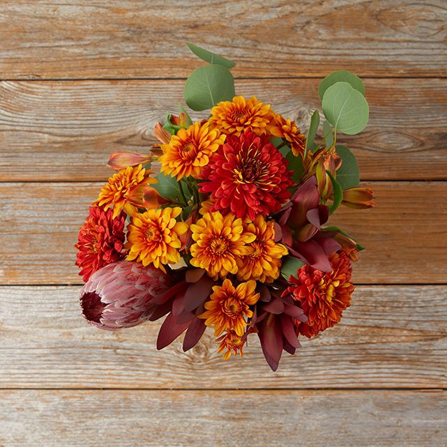 Red Protea + Bronze Mums & Pompons - The Bouqs Co.