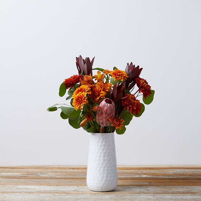 Red Protea + Bronze Mums & Pompons - The Bouqs Co.