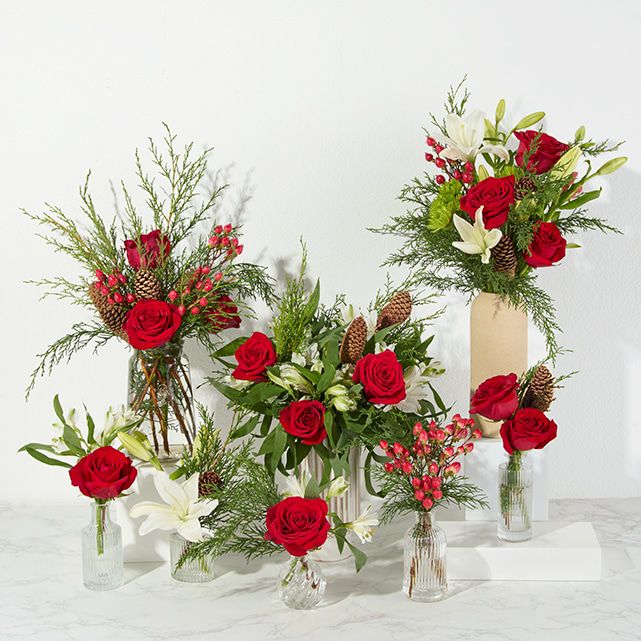 The Rudolph Party Box - The Bouqs Co.