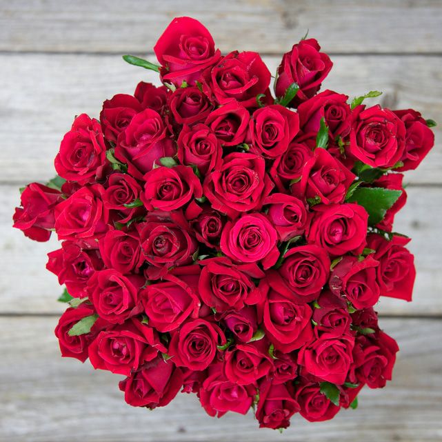Red Tea Rose Floral Arrangement - The Bouqs Co.