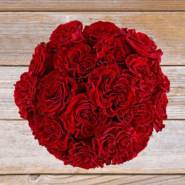 Bouquet of Ruby Red Tea Roses - The Bouqs Co.