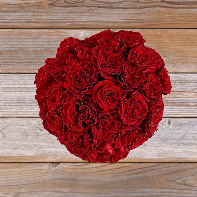 Bouquet of Ruby Red Tea Roses - The Bouqs Co.