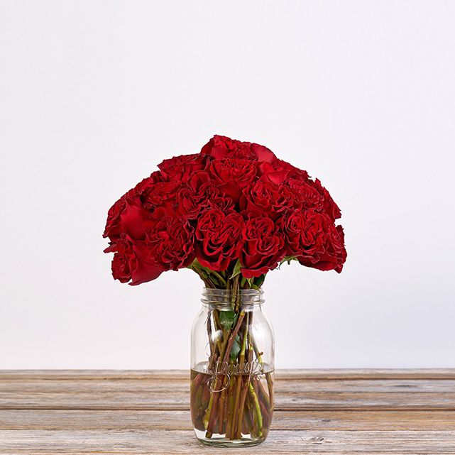 Bouquet of Ruby Red Tea Roses - The Bouqs Co.