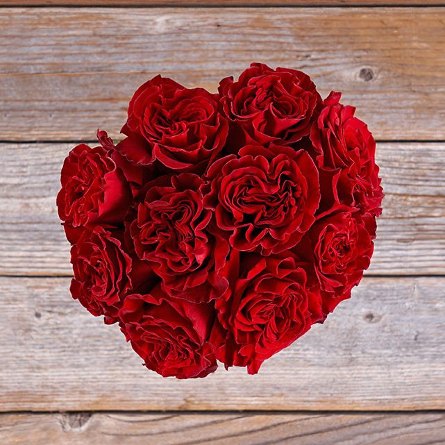 Bouquet of Ruby Red Tea Roses - The Bouqs Co.