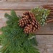 Grapevine and Pine Fresh Holiday Wreath - The Bouqs Co.