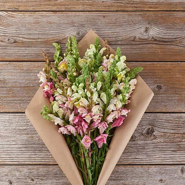 White Snapdragon Bouquet