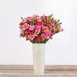 Mixed Pink Gillyflower Bouquet - The Bouqs Co.
