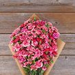 Mixed Pink Gillyflower Bouquet - The Bouqs Co.
