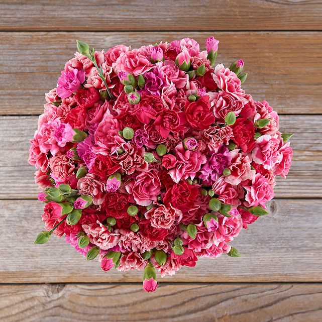 Mixed Pink Gillyflower Bouquet - The Bouqs Co.
