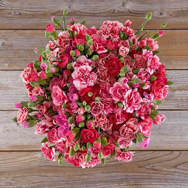 Mixed Pink Gillyflower Bouquet - The Bouqs Co.
