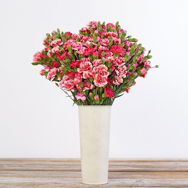 Mixed Pink Gillyflower Bouquet - The Bouqs Co.