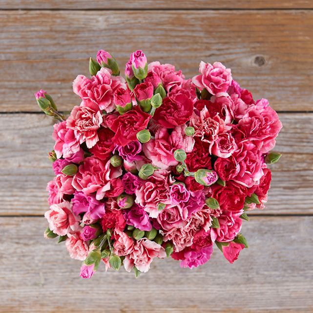 Mixed Pink Gillyflower Bouquet - The Bouqs Co.