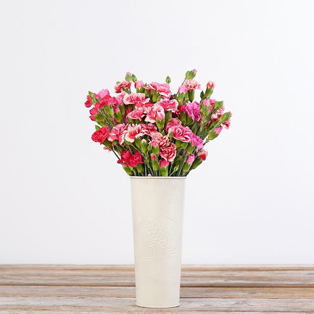 Mixed Pink Gillyflower Bouquet - The Bouqs Co.