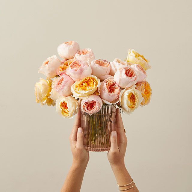 Garden Roses in shades of Yellow and Peach - The Bouqs Co.