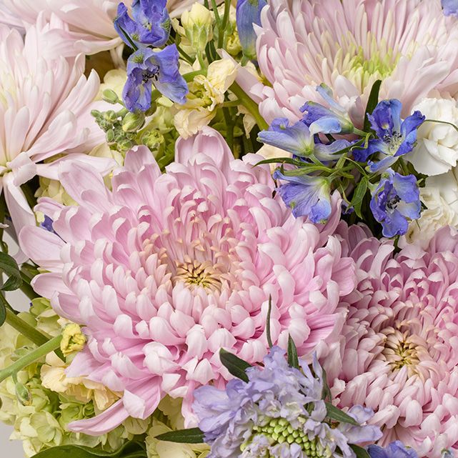 Mixed Arrangement of Pink Cremons, Hydrangea & Delphinium Meta Keywords ...