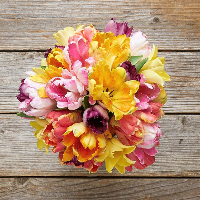 Assorted Tulip Flower Arrangement - The Bouqs Co.