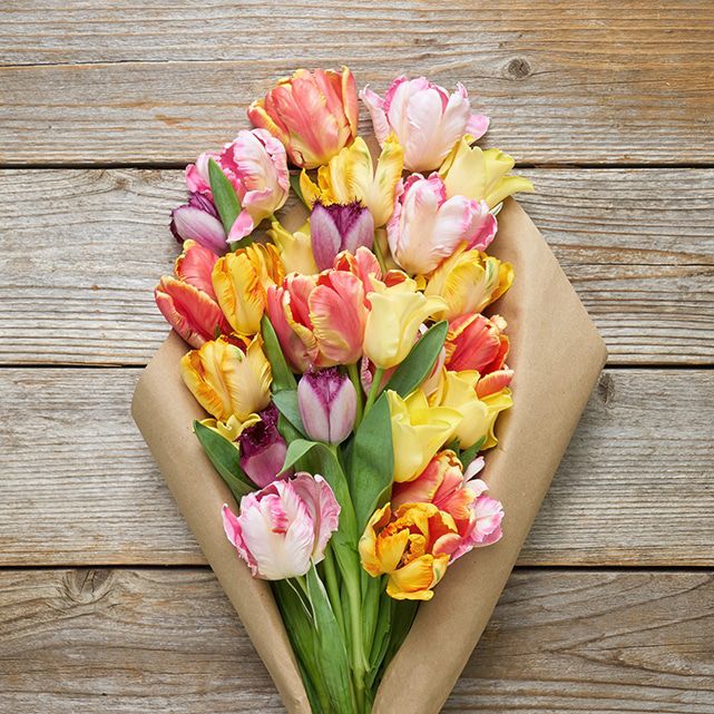 Assorted Tulip Flower Arrangement - The Bouqs Co.