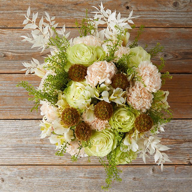 Fresh Vintage Carnations + Preserved Ruscus - The Bouqs Co.