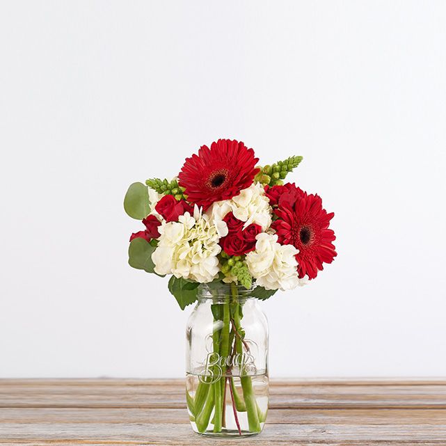Red Roses and Daisies with White Hydrangeas - The Bouqs Co.