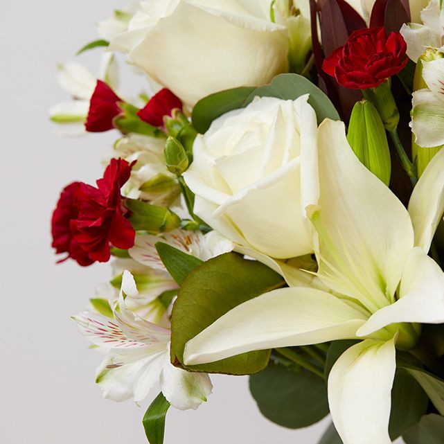 White Asiatic Lily + White Roses & Burgundy Minicarnations - The Bouqs Co.