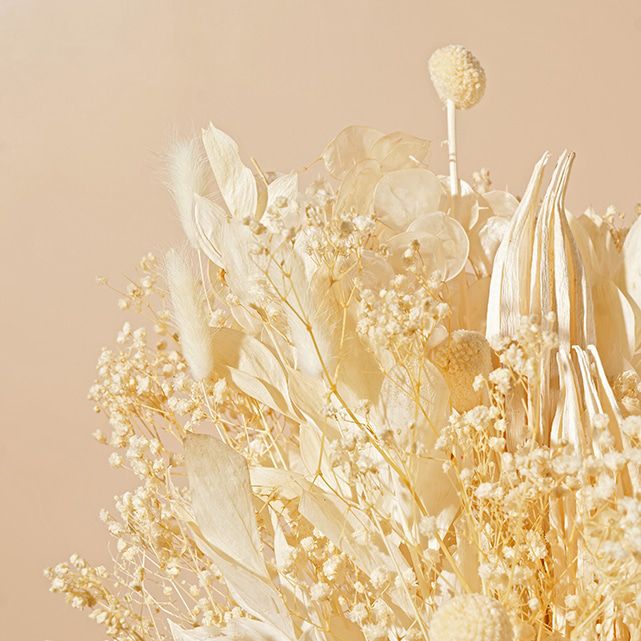 White Okra with Lunaria, White Crespedia and Bleached Gypsophalia - The ...