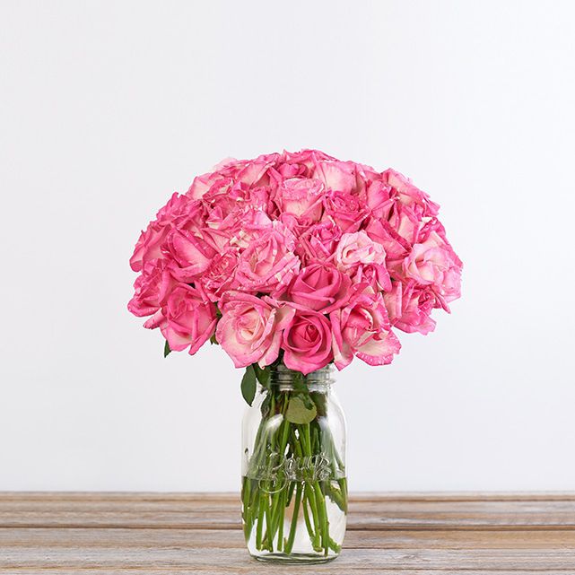 Two-Toned White & Pink Rose Flower Bouquet - The Bouqs Co.